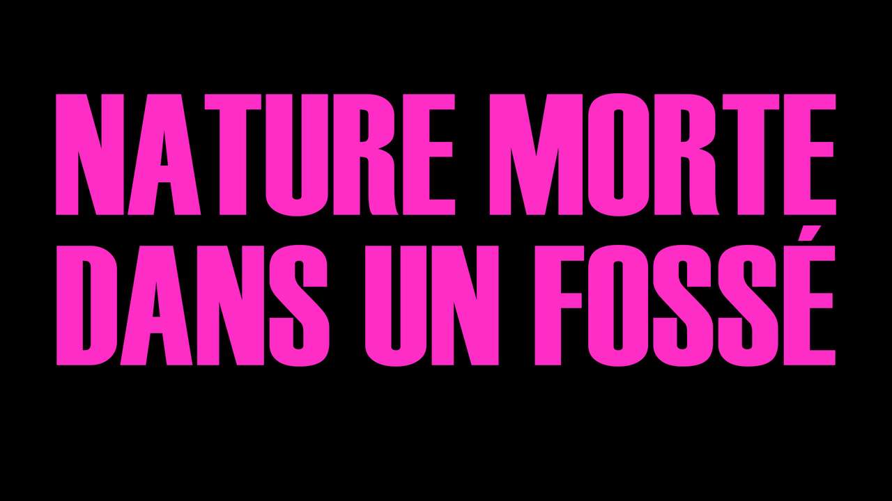 NATURE MORTE DANS UN FOSSÉ - Ulule