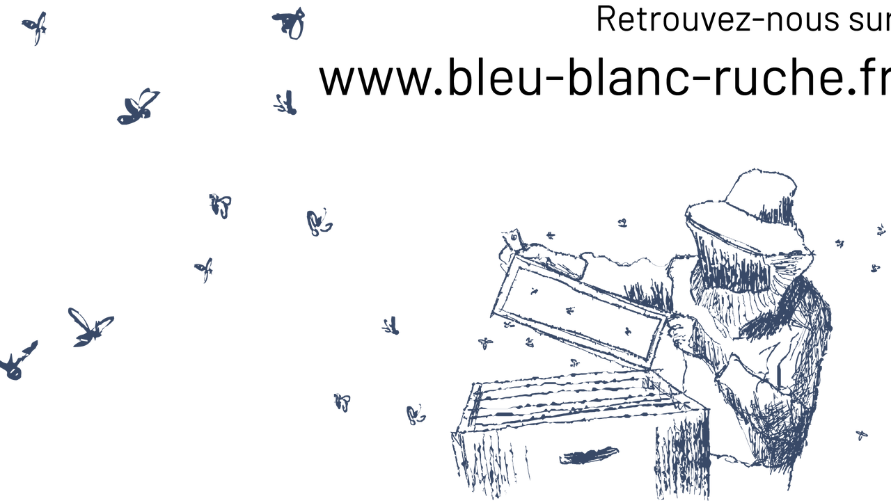Bleu Blanc Ruche - Ulule