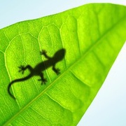 Emilie LEFEBVRE - Ulule