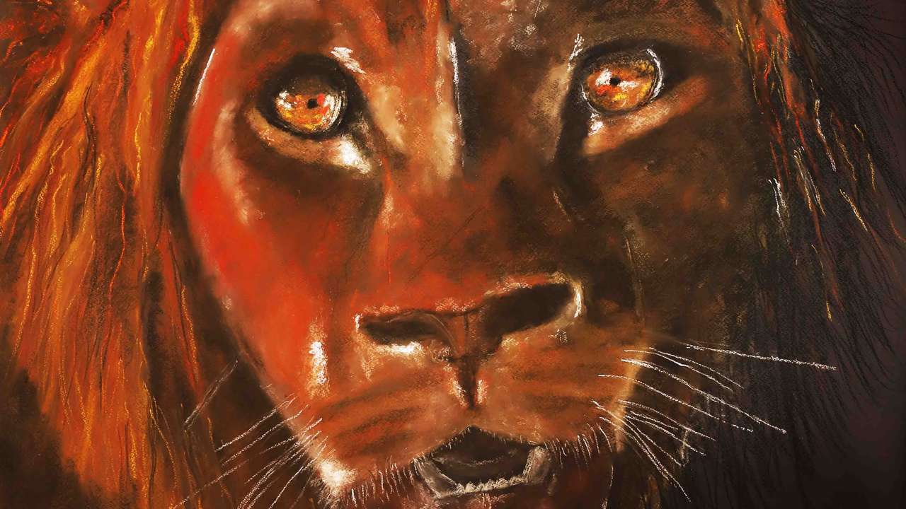 FRISSON ANIMAL LIVRES ILLUSTRÉS LA TRILOGIE - Ulule