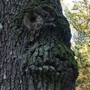 Patrick Dahl - Ulule