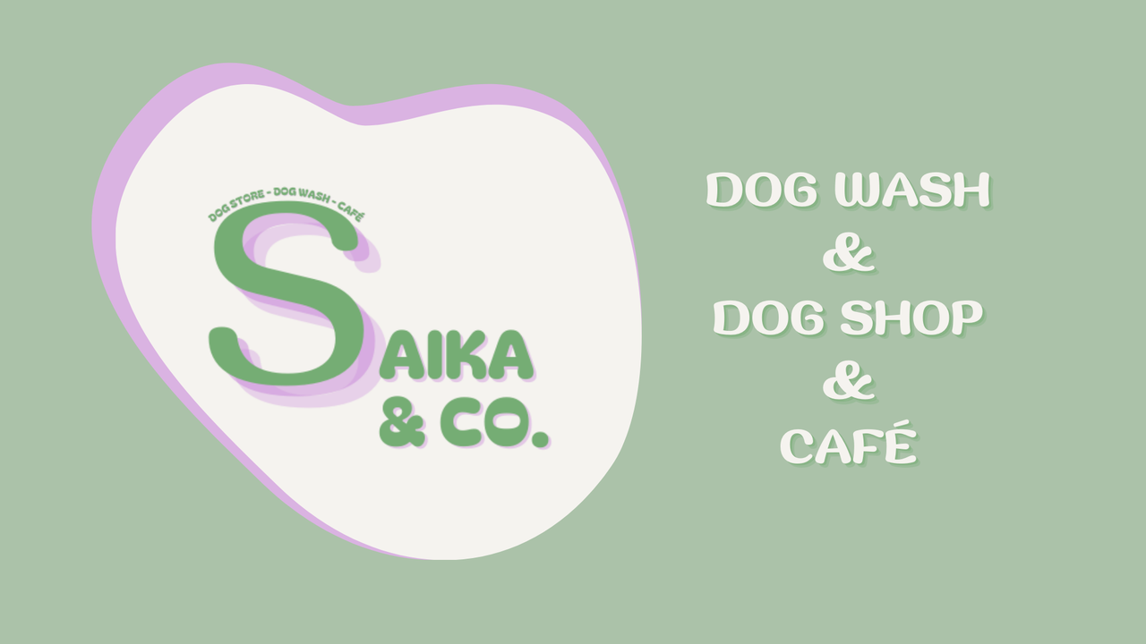 Saika & co. le premier dog concept store à Lorient