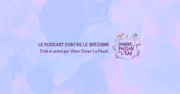 Comme un poisson dans l'eau - Ulule