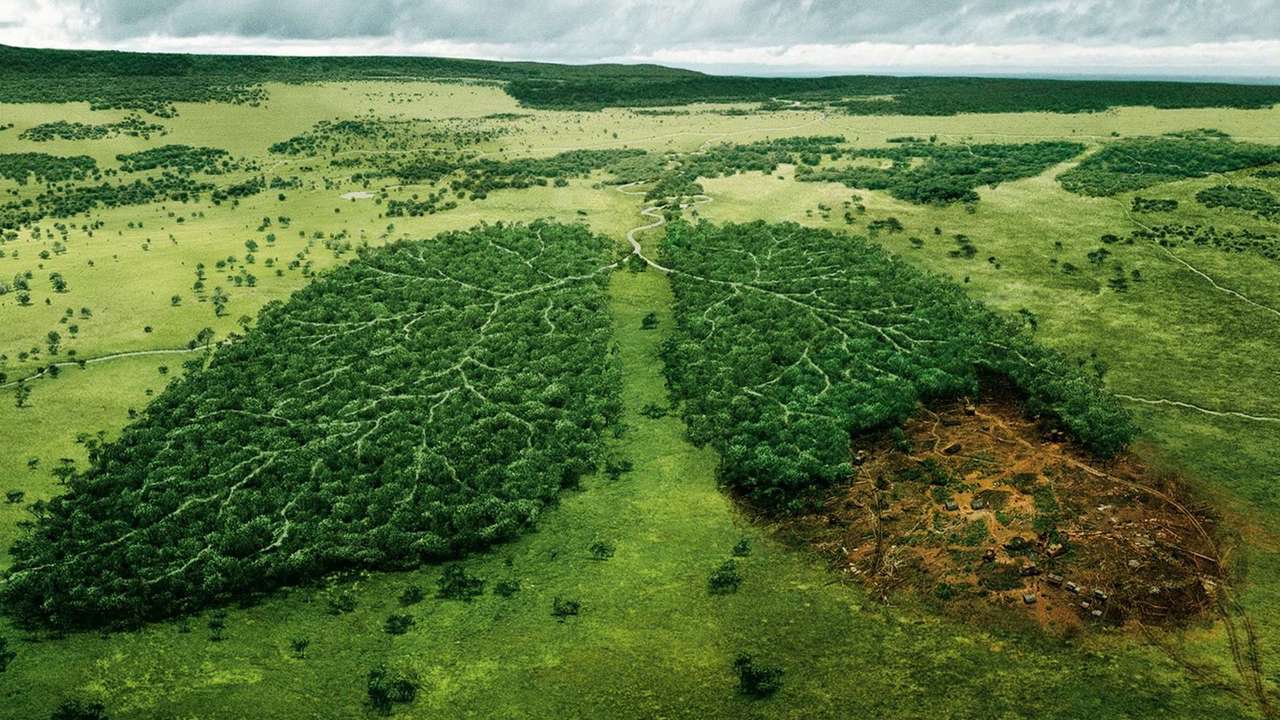 Aidons les autochtones à préserver les forêts