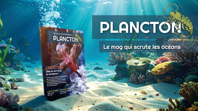 PLANCTON, le magazine qui scrute les océans