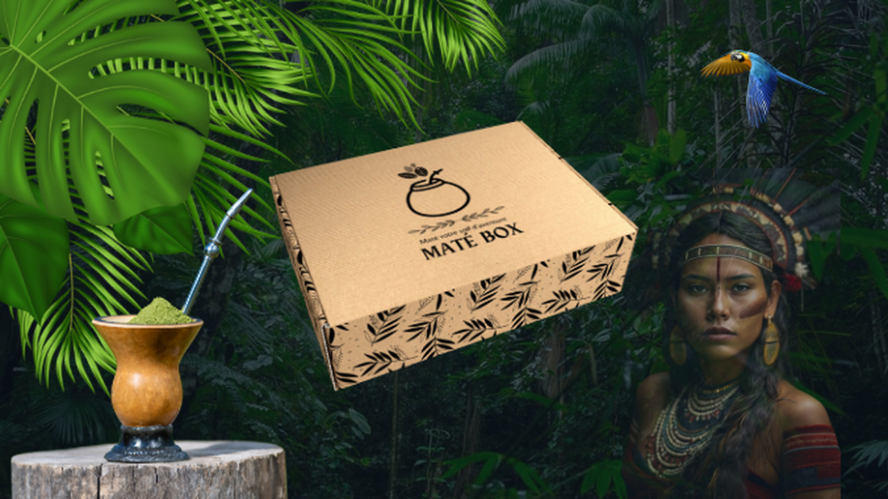 Maté Box: pour une boisson saine, naturelle et énergisante