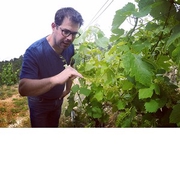 nicolas haeni - Ulule