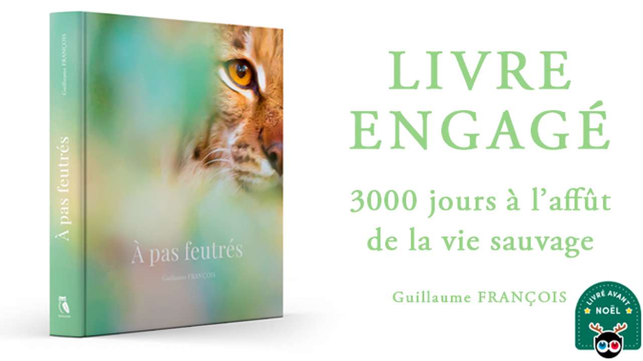 "À pas feutrés" Nouveau livre engagé pour la nature - Ulule