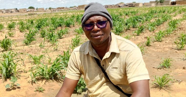 JARDINS AU SAHEL