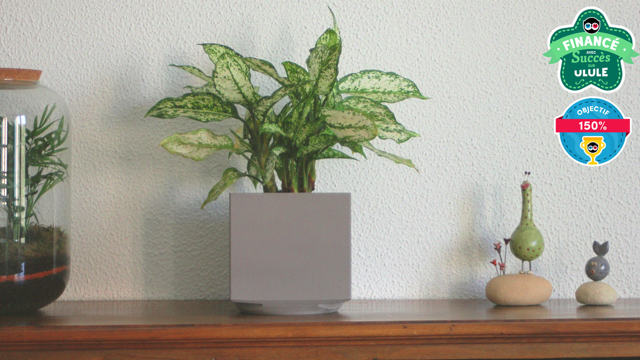 Gaïa by STRAWAY, le pot de fleur Made in France