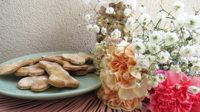 Pause Pattoune - Délices nomades - Ulule