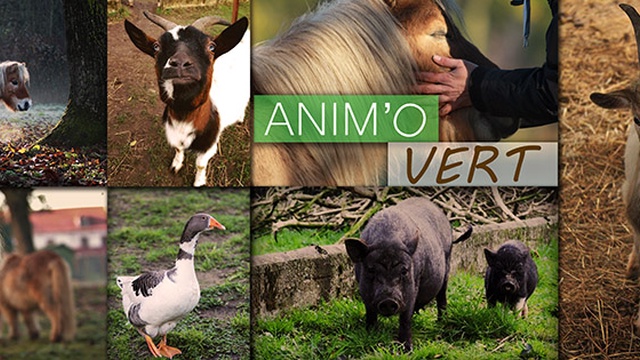 sylvianemarconnelle - Ulule