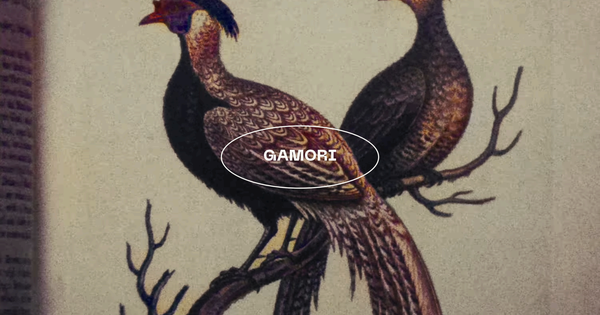 GAMORI : COURT-MÉTRAGE NIKON FESTIVAL 2025 🎬