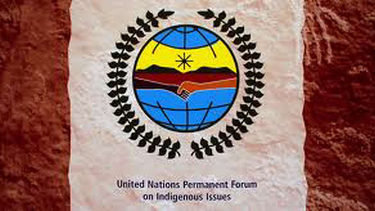 Indigenous Issues at United Nations
