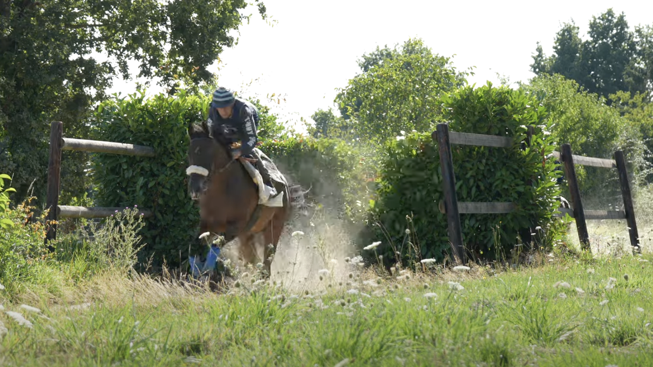 Le galop & les courses autrement, avec Nicolas Paysan