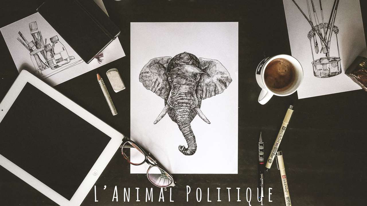L'Animal Politique - Ulule