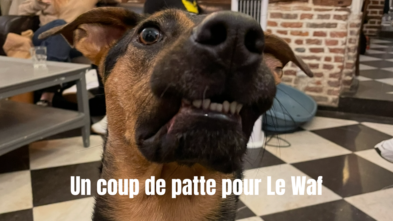 Un coup de patte pour Le Waf
