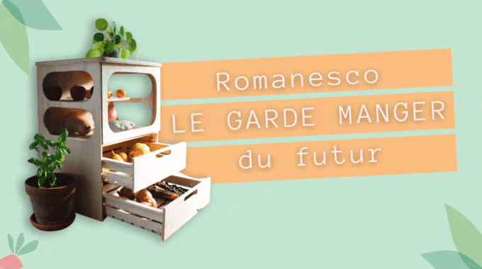 Romanesco, le garde-manger Low-Tech pour un avenir durable.
