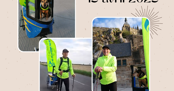 Courir pour Handi'chiens - Eric Hochart - Ulule