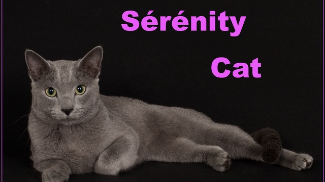 Sérénity Cat - Ulule