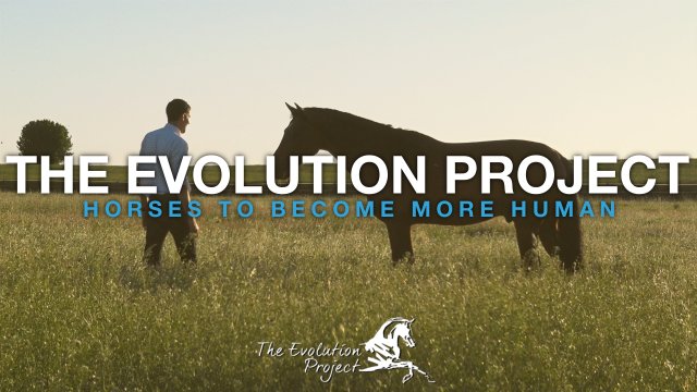 The Evolution Project