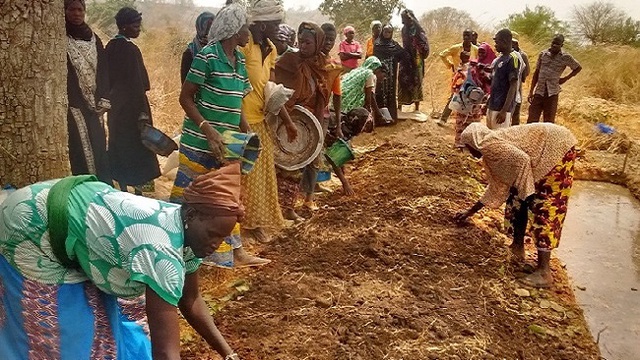 Maraîchage et agroforesterie au Burkina Faso n°1 - Ulule