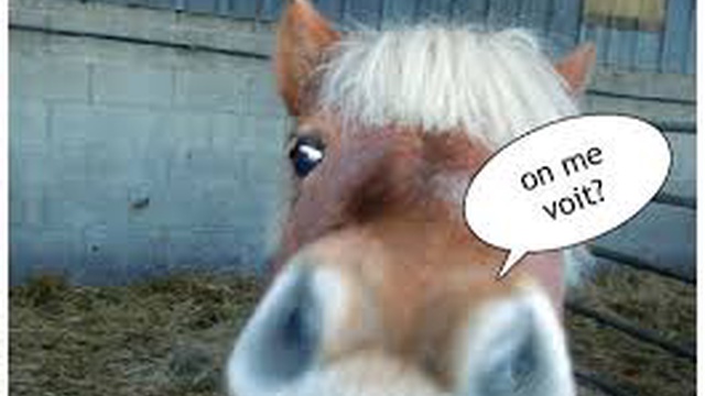 Camille Tripot - Ulule