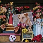 Against the Grain - Ulule