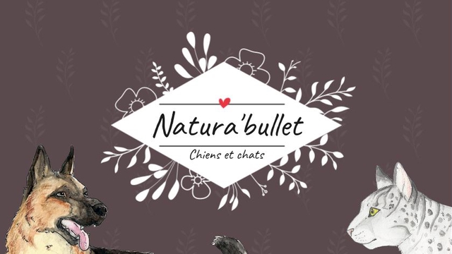 Natura'bullet : Chiens et chats
