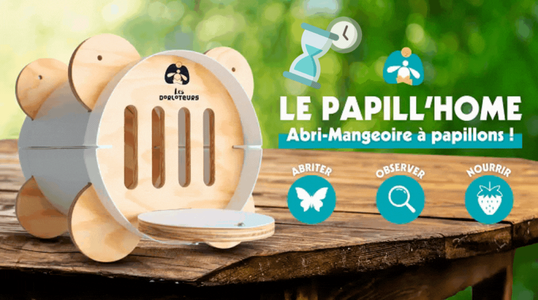 ⏳ Un Abri pour Observer, Protéger et Nourrir les Papillons