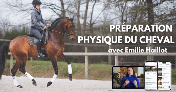 Repenser l'équitation avec Emilie Haillot - formation vidéo