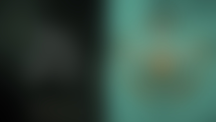 Mathieu Coudray - Ulule