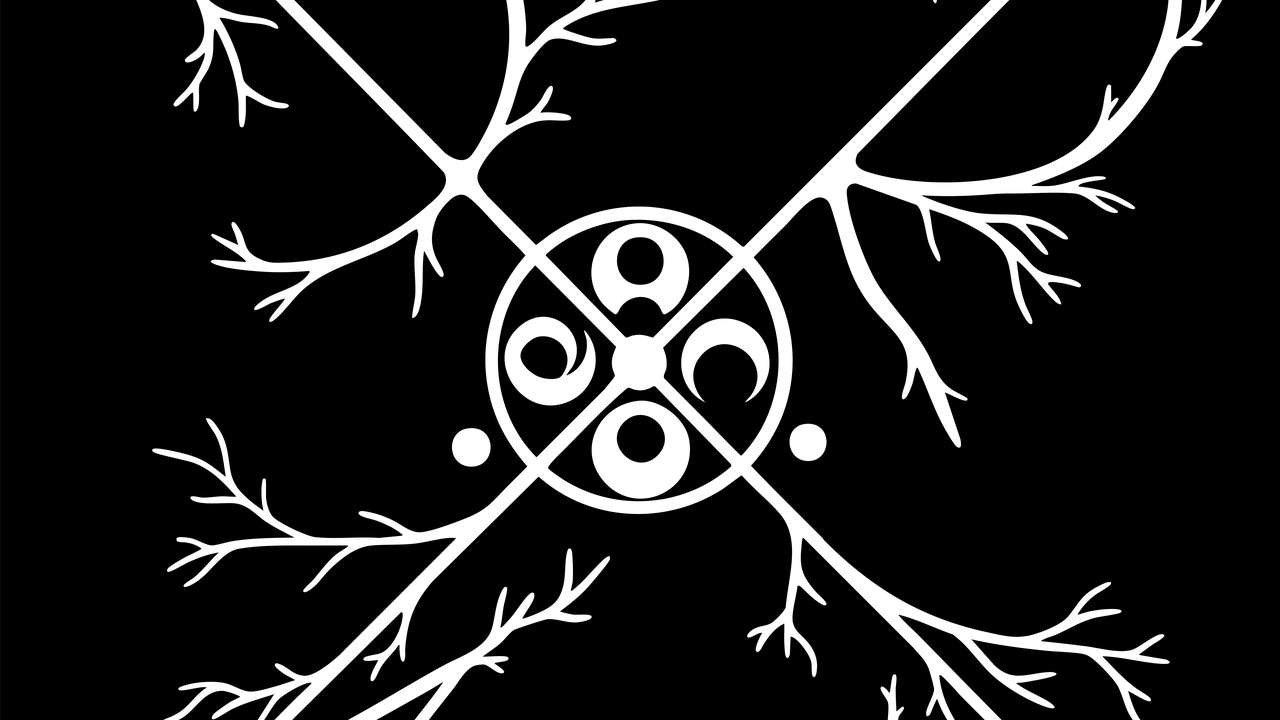 Financement album Parcimonie