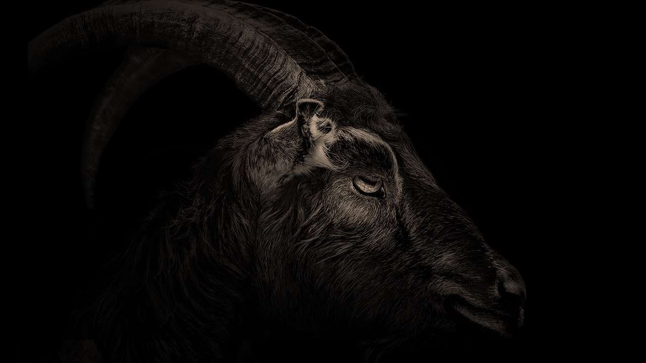 Le Bourreau, la Sorcière et le Nain