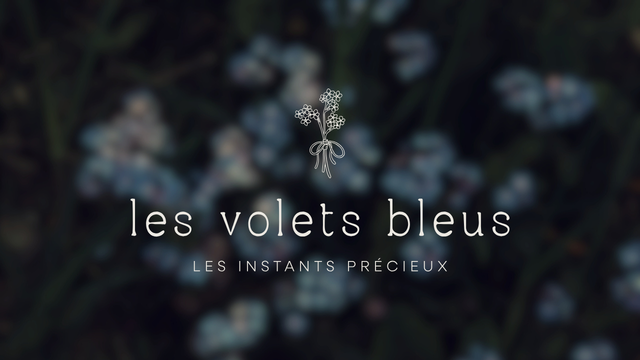 Les volets bleus - Ulule