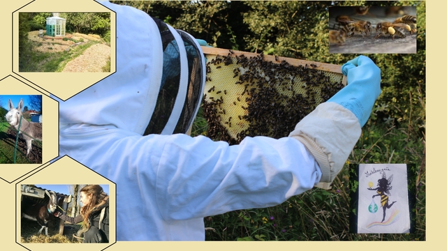 Les Abeilles de Mieleaugaïa