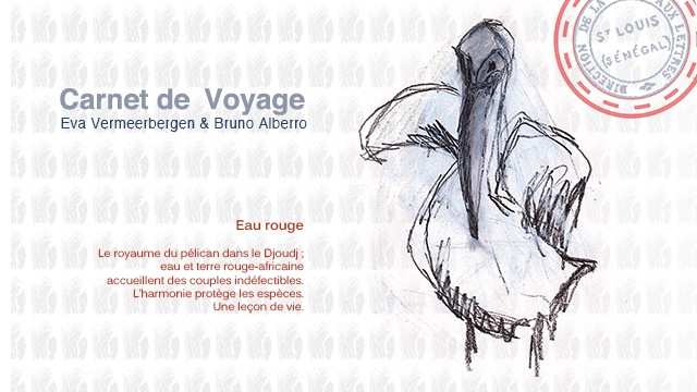 Yann-Eric Eichenberger - Ulule