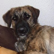 Brigitte Rataggi - Ulule