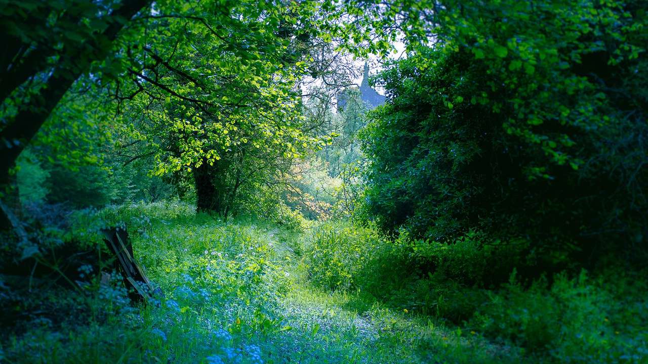 Balades & Merveilles aux portes de l'Anjou