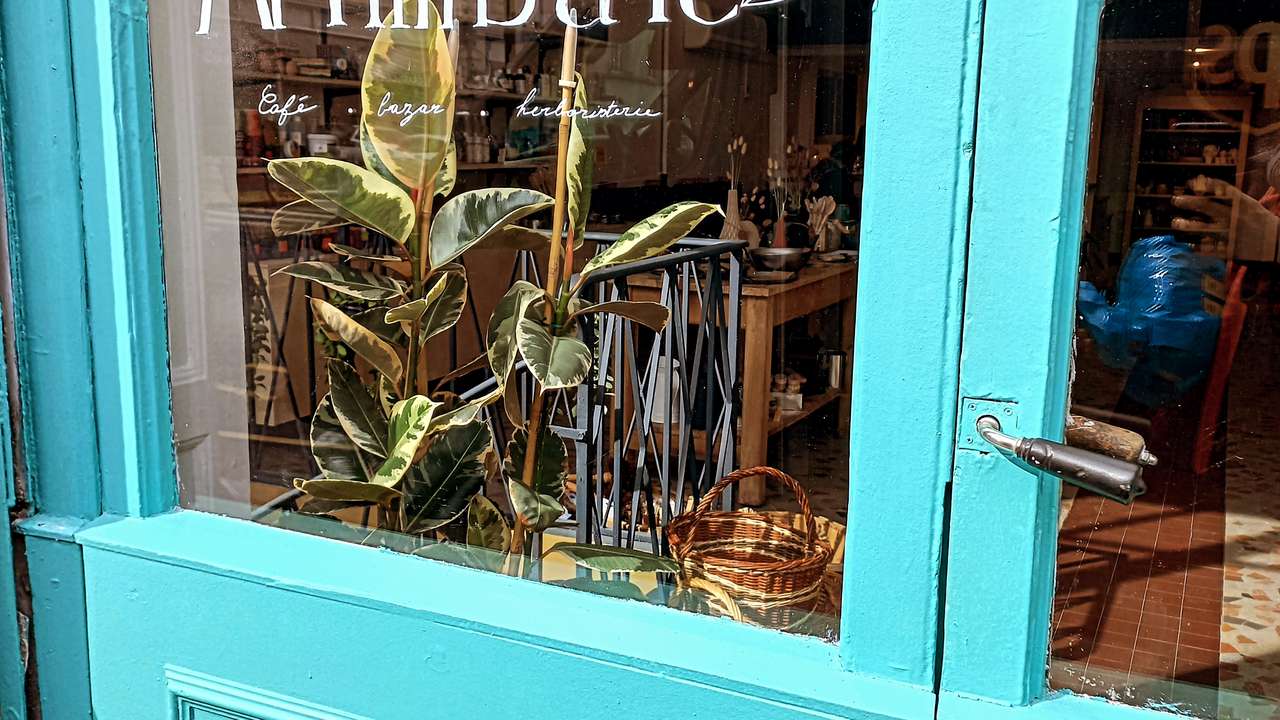 Café - Bazar - Herboristerie - 59 avenue Felix Faure, Lyon 3 - Ulule