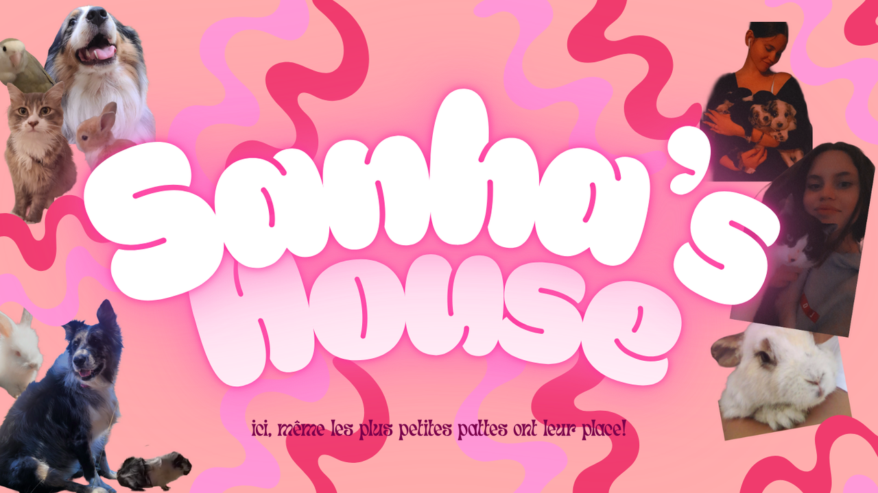 Sanha’s House, un lieu où plusieurs univers s’entremêlent...