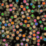 Art in Research - Ulule