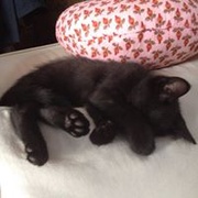 Béatrice et Jérôme COMBE - Ulule