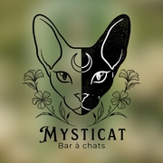 Le Mysticat🐈‍⬛☕️ - Ulule