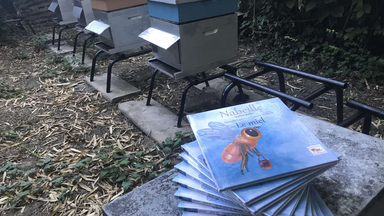 Nabeille la P'tite Abeille - Ulule