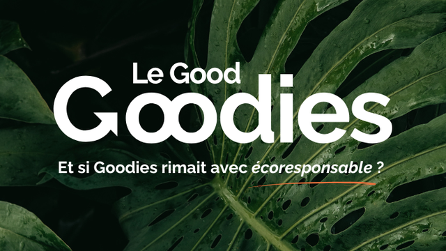 LE GOOD GOODIES. DES GOODIES ECORESPONSABLES - Ulule