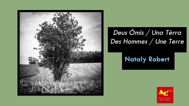 Claire DARRICARRERE - Ulule