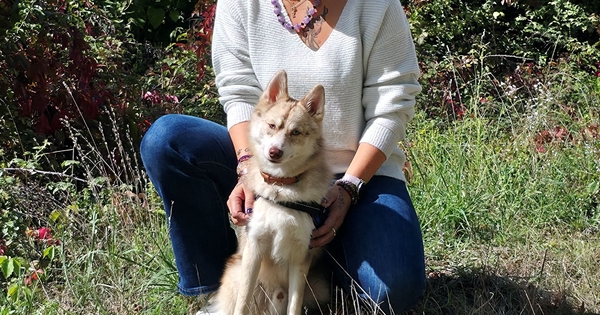 Priss Service, au service du bien être animal