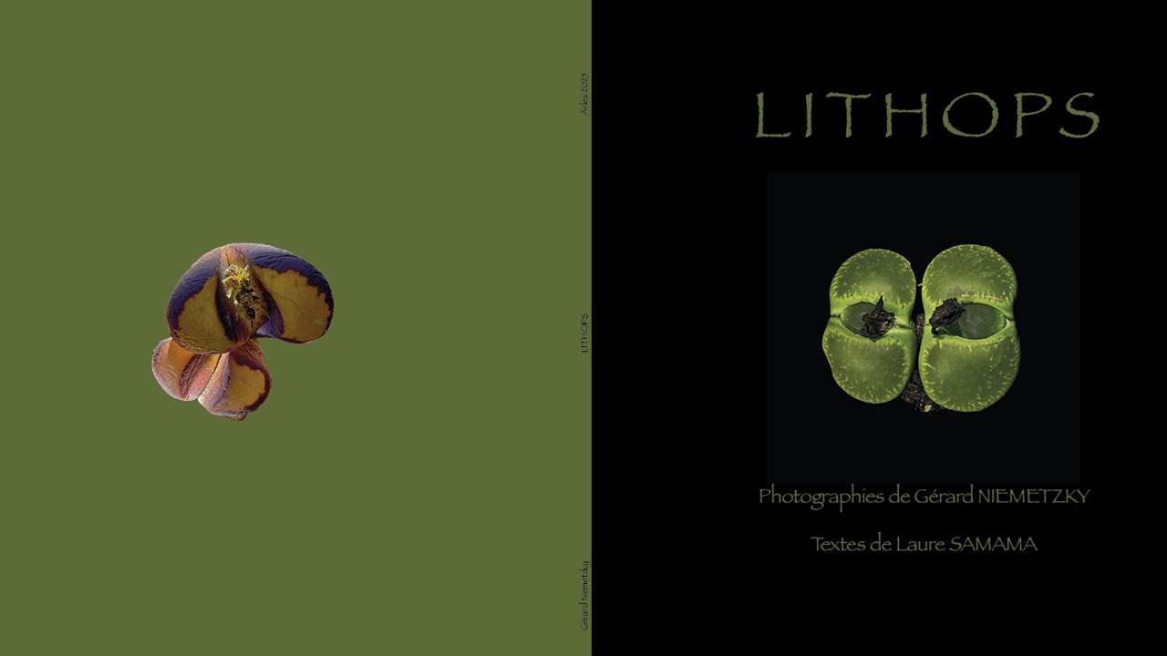Le livre de l'exposition LITHOPS du OFF à Arles