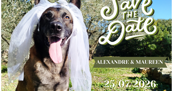 Voyage de noces Alexandre et Maureen